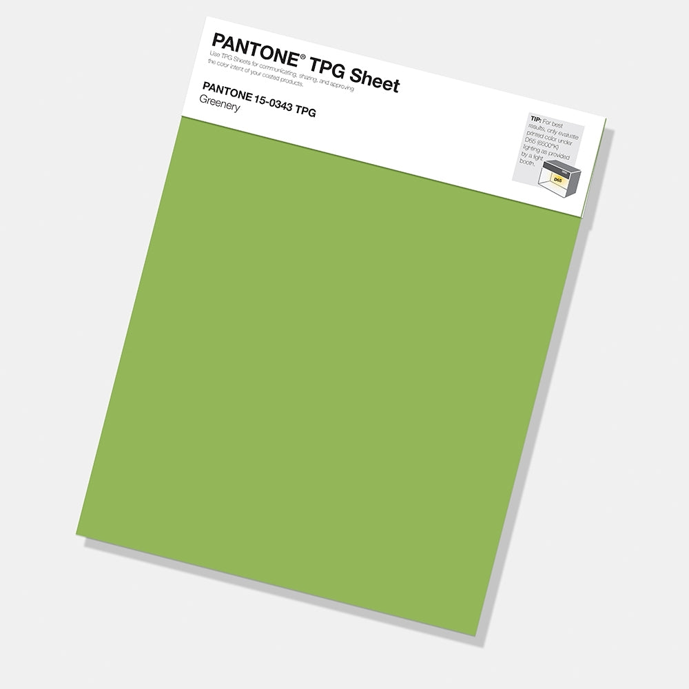 PANTONE FHI Large Paper Swatch TPG Sheet — Color Confidence